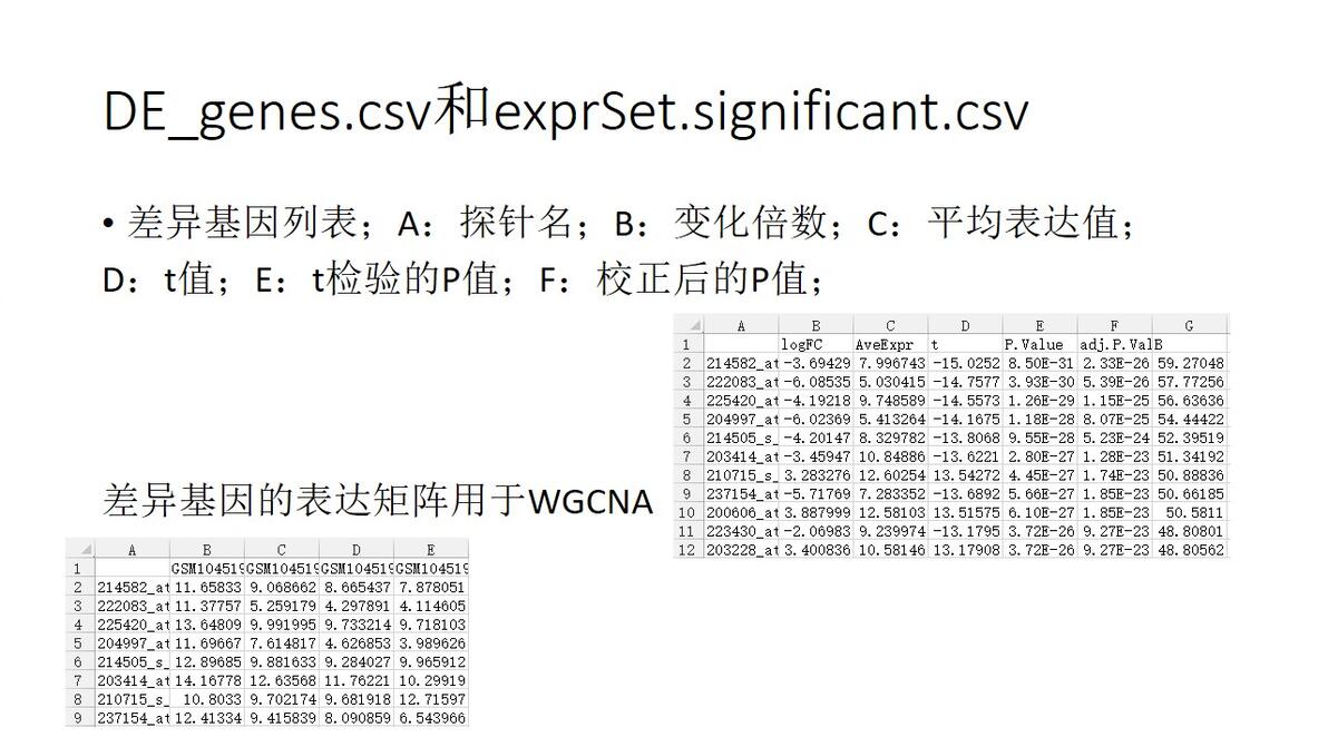 WGCNA结果如何解读？（入门cainiao必看） - 哔哩哔哩