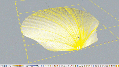 SketchUp教学042-贝壳Scallop shell Modeling - 哔哩哔哩