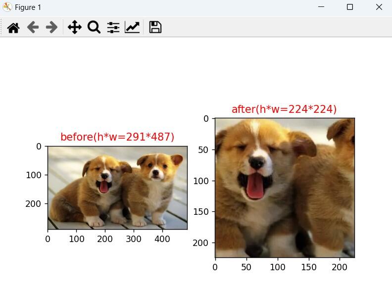 第十三篇—裁剪Crop（transforms专题） - 哔哩哔哩