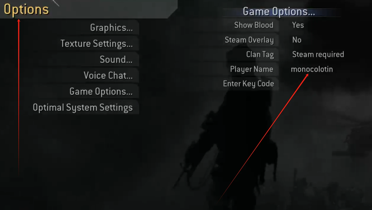 使命召唤4 离线版 简中 战役\局域网多人联机教程 - 哔哩哔哩