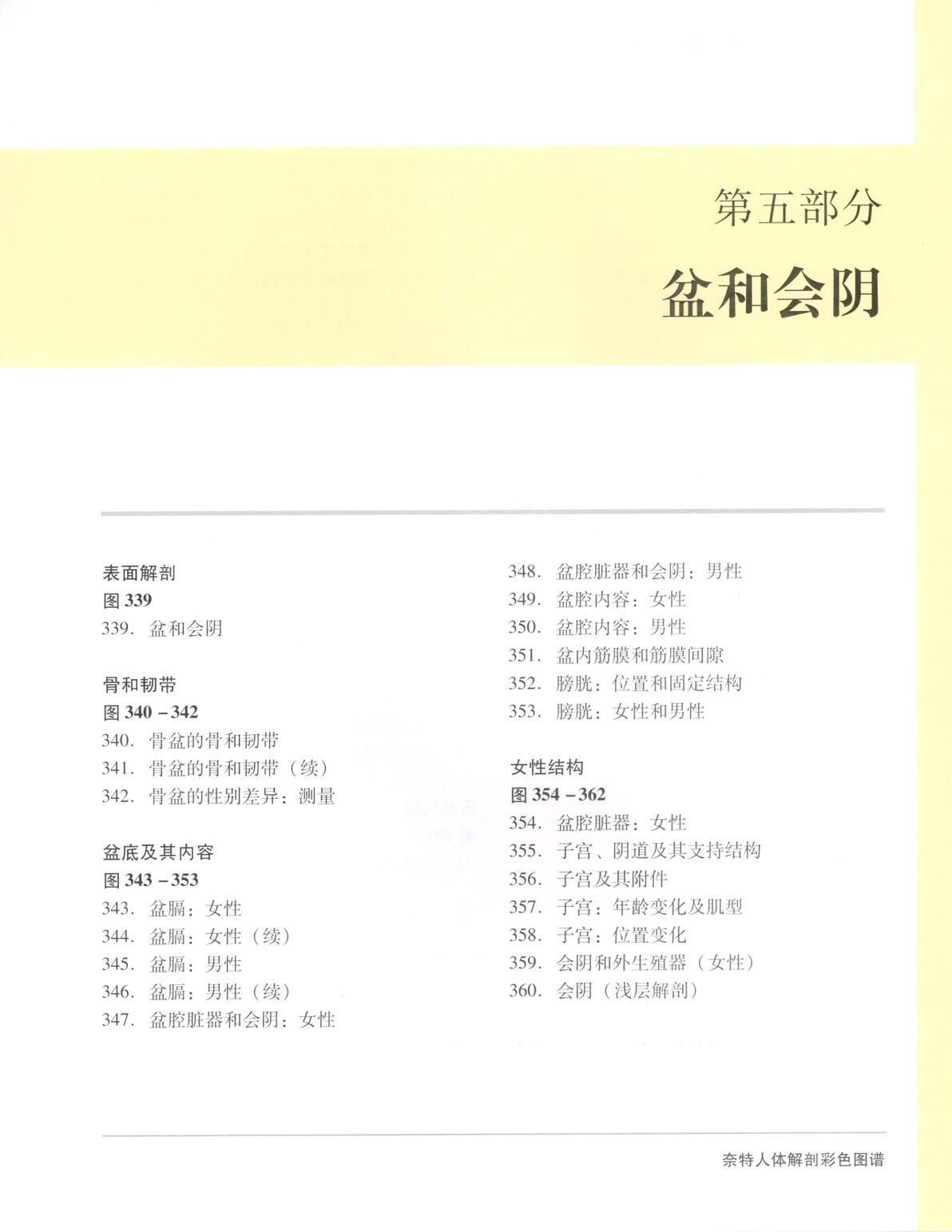 《奈特人体解剖彩色图谱 第3版》Frank H. Netter原著；王怀经主译&R - 哔哩哔哩