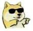 【史上最强】doge表情包合集！【收图小伙伴快来！】 - 哔哩哔哩