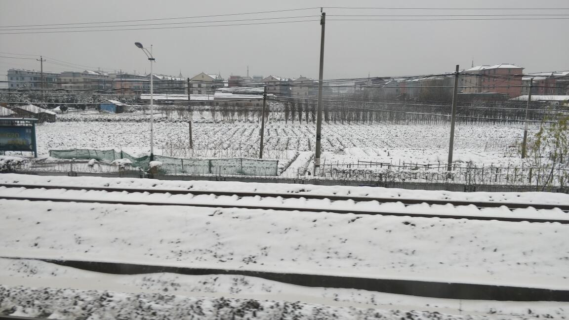 仅有的两列长途特区专列——Z99/100沪九&Z97/98京九直通车运转记 - 哔哩哔哩