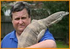 它为何成为世界第 3 大宠物？详解鬃狮蜥 23 大基因，鬃狮圈的八卦创业集 | 达叔讲传 - 哔哩哔哩