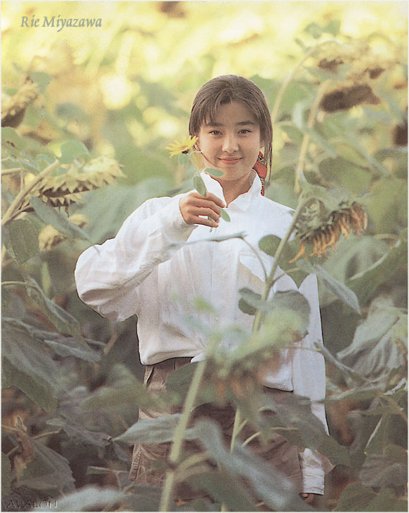 Miyazawa Rie [Santa_fe (91年)] - 哔哩哔哩