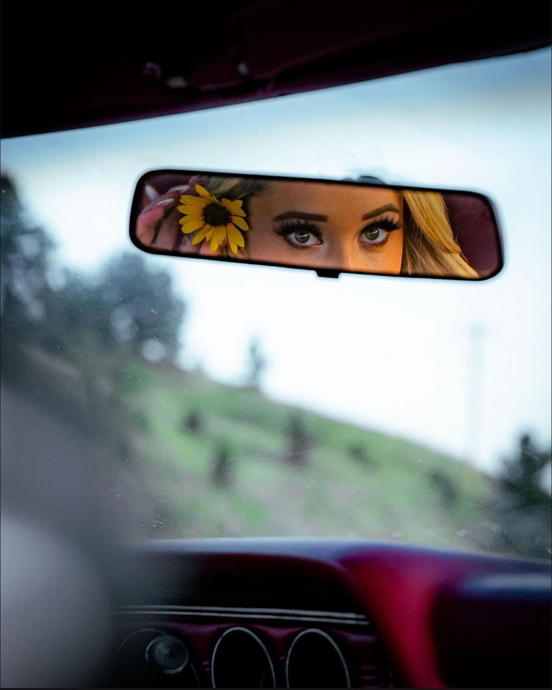 【大家的精选】 Kali Roses - 哔哩哔哩