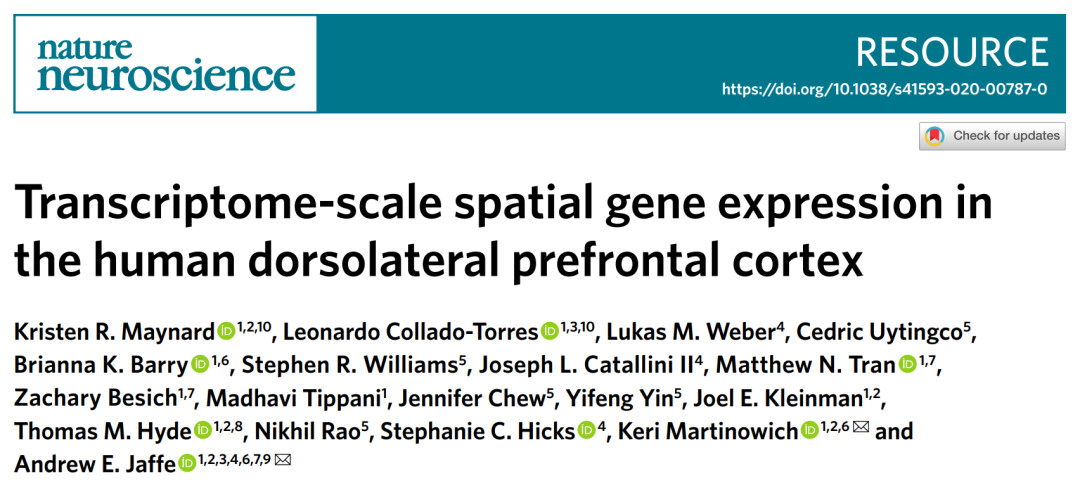 Nat Neurosci | 空间转录组技术揭示背外侧前额叶皮层的空间差异表达 - 哔哩哔哩