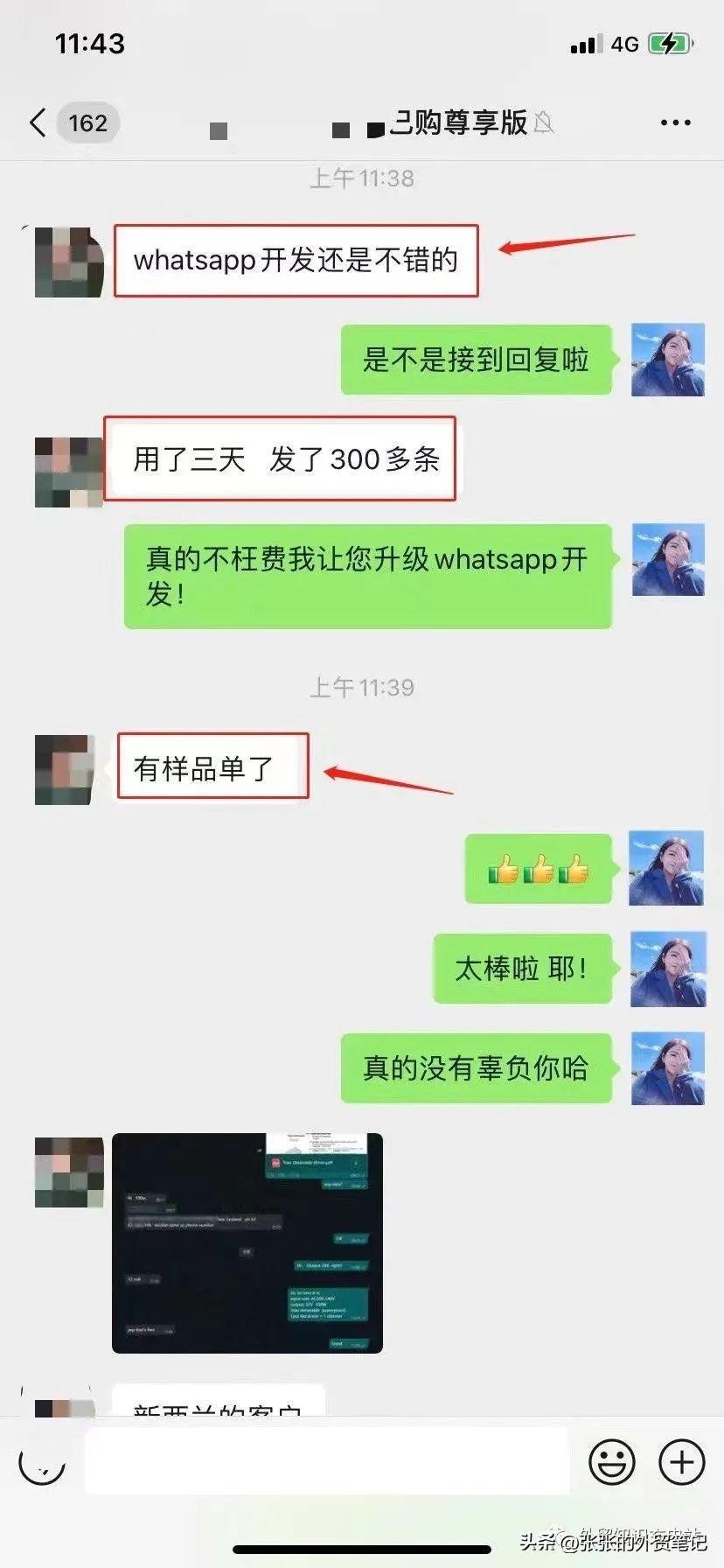 做外贸用whatsapp与国外客户聊天跟进技巧？ 哔哩哔哩