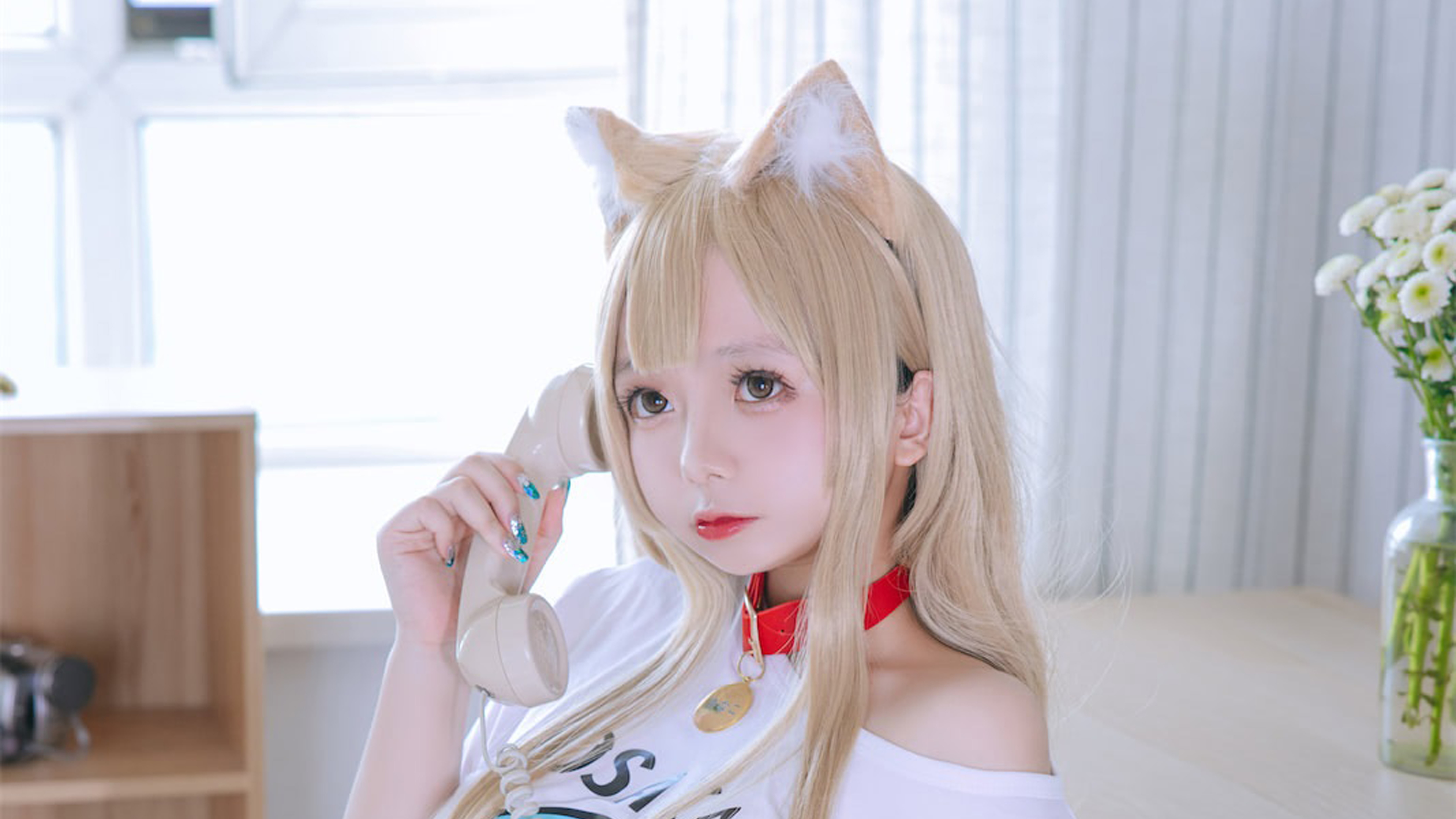 【日奈娇】黄豆粉猫猫 - 哔哩哔哩