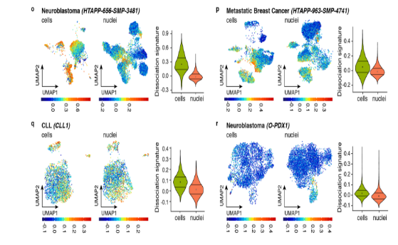 snRNA-Seq ：单细胞转录组学中一颗耀眼的星 - 哔哩哔哩