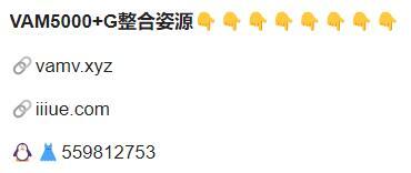 逼真的游戏VAM最新中文汉化+插件，殿堂级整合分享 - 哔哩哔哩