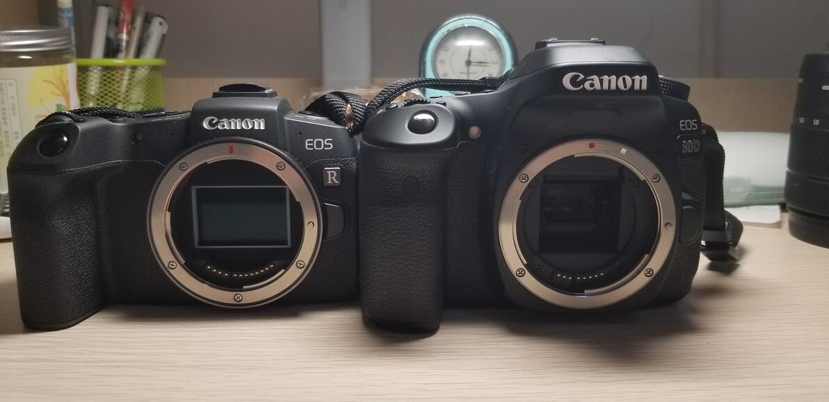 EOS 80D与EOS 6D2的用户们，你们真的需要一台EOS RP！吗？ - 哔哩哔哩