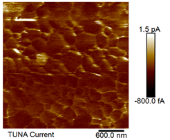 【AFM干货】原子力显微镜（AFM）的应用 - 哔哩哔哩