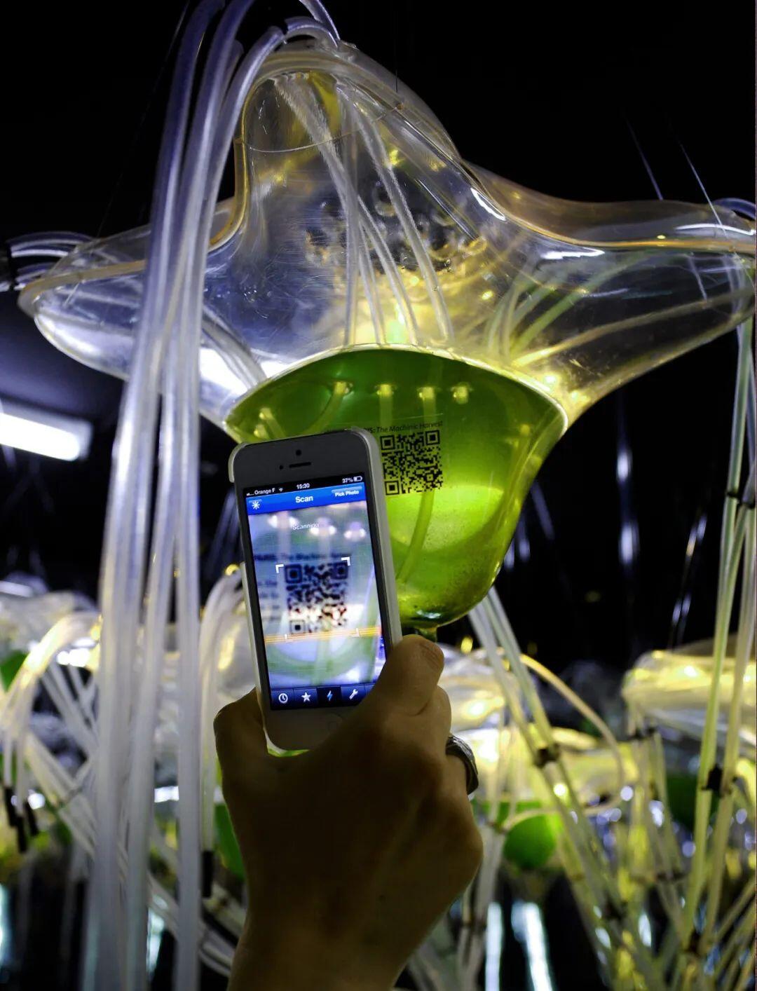 CY TALK | 生物设计科学怪人 ecoLogicStudio 如何运用藻类融入我们的生活 - 哔哩哔哩