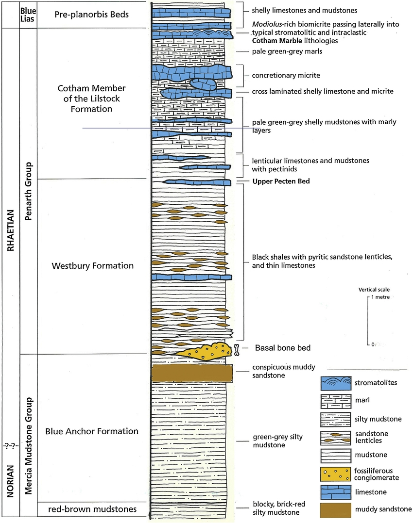 【科普】离龙目：江中潜龙，扑朔迷离！ - 哔哩哔哩