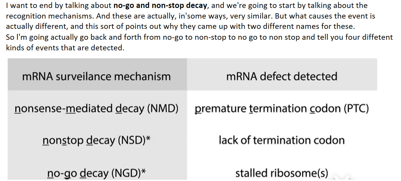 MIT 分子生物学 part3 8.9 Nonstop-Mediated versus No-go Decay (mRNA Re - 哔哩哔哩