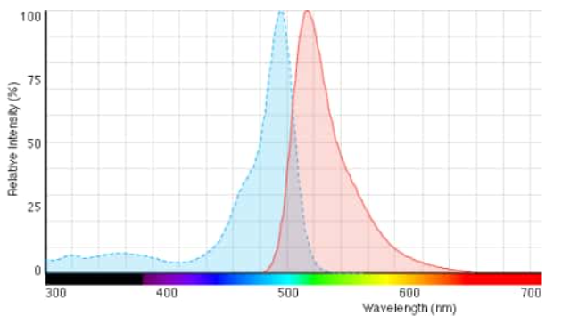 Fluo-4 AM钙离子荧光探针（染色原理、使用步骤、光谱） - 哔哩哔哩