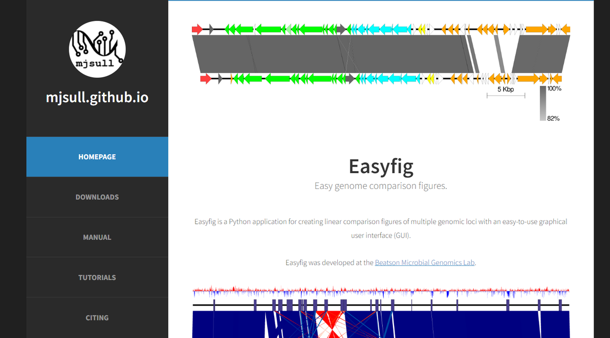 Easyfig 在windows系统的下载、安装和初步共线性比对 - 哔哩哔哩