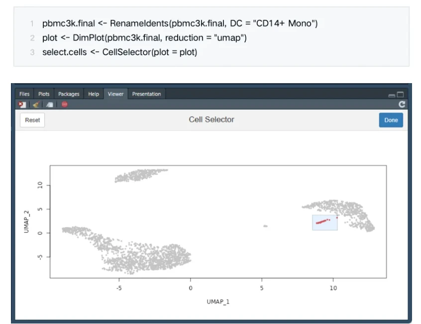 手把手教学｜单细胞分析基础流程（二）：Seurat数据可视化 - 哔哩哔哩