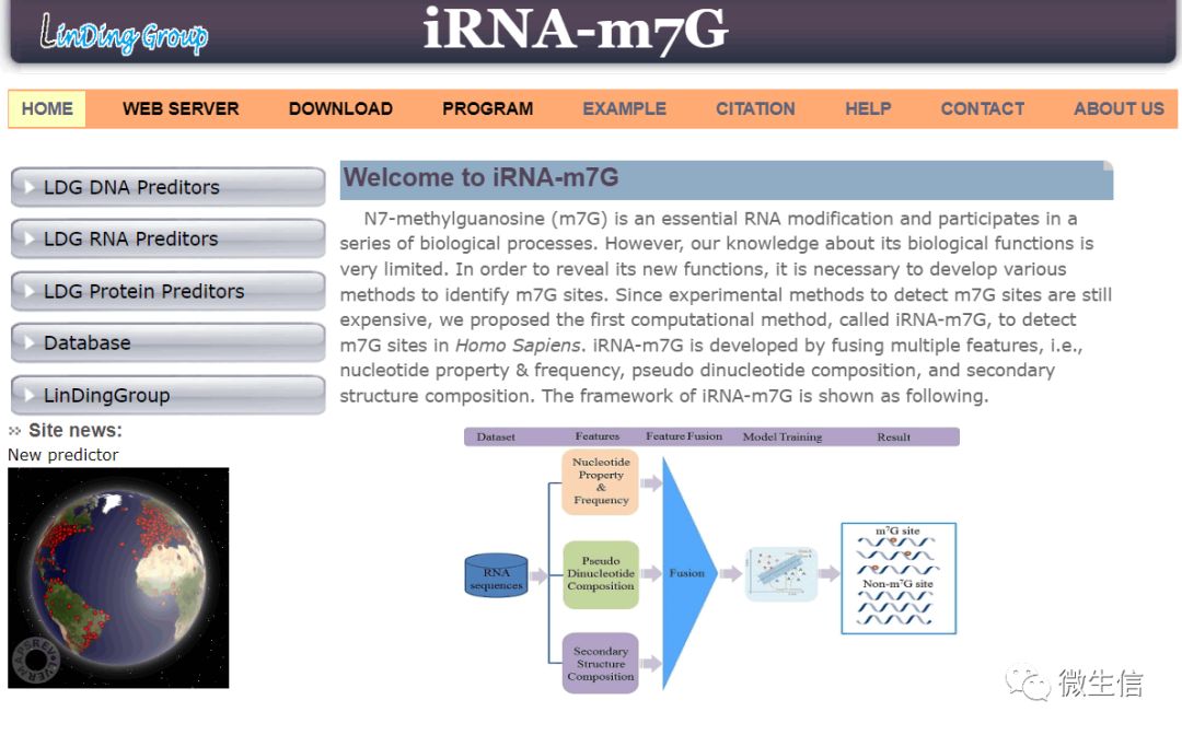 利用m7Ghub数据库查询并使用iRNA-m7G软件预测RNA m7G修饰位点 - 哔哩哔哩