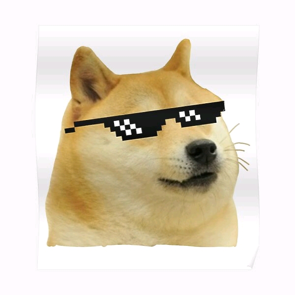 这里是关于Cheems的一些图片 - 哔哩哔哩