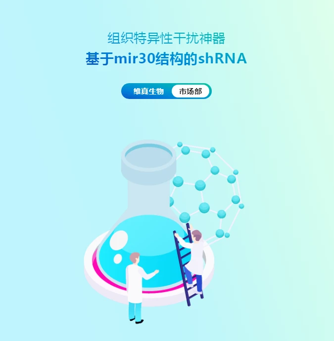 组织特异性干扰神器——基于mir30结构的shRNA - 哔哩哔哩