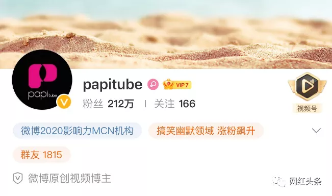 从papi酱到papitube，我们可以从这位初代网红身上学到什么？ - 哔哩哔哩
