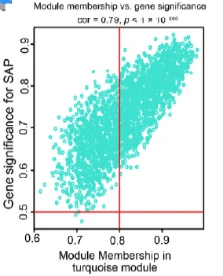 WGCNA分析结果图怎么看？小云带你来读图！（下篇）/SCI论文/科研/研究生/生信分析热点 - 哔哩哔哩