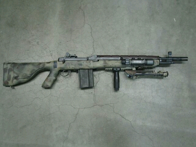 轻武器科普之M14型步枪(三) - 哔哩哔哩