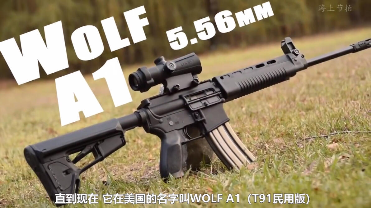 中国台湾省“百年步枪计划”成果——T91式突击步枪 - 哔哩哔哩