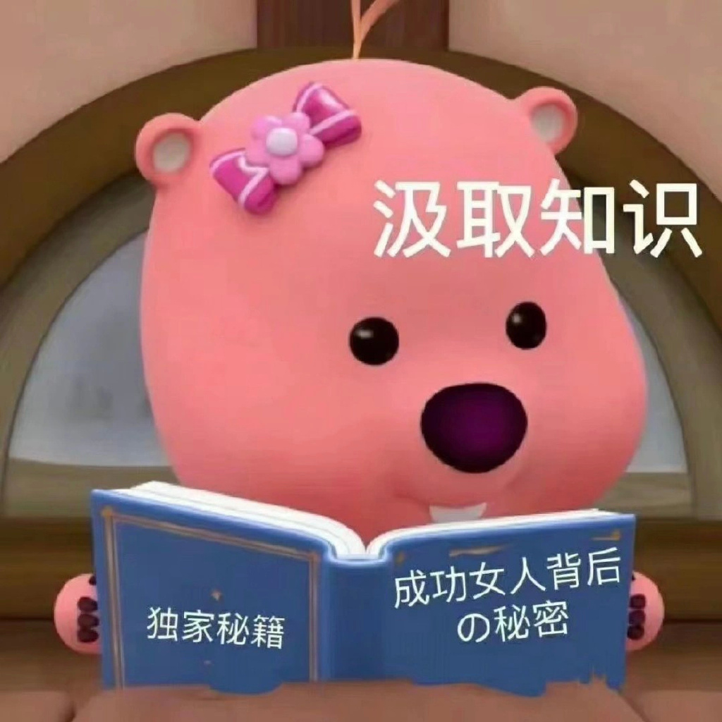 loopy海狸表情包 - 哔哩哔哩