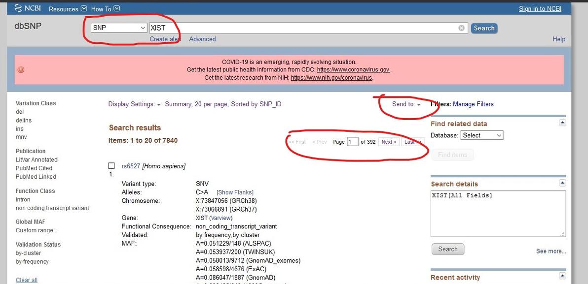 NCBI SNP数据下载 - 哔哩哔哩
