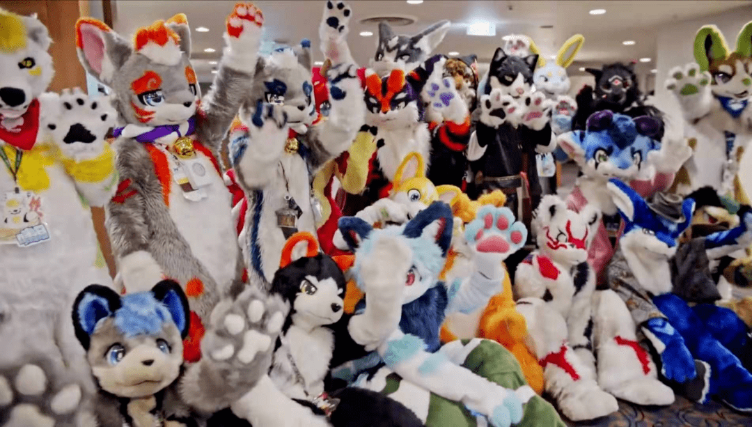 【兽闻汐报】一篇给所有兽圈内新老兽友的专栏，欢迎《走进Furry世界！》（已获授权） - 哔哩哔哩