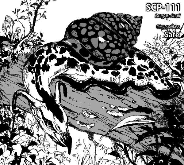 SCP-111【详细介绍】 - 哔哩哔哩