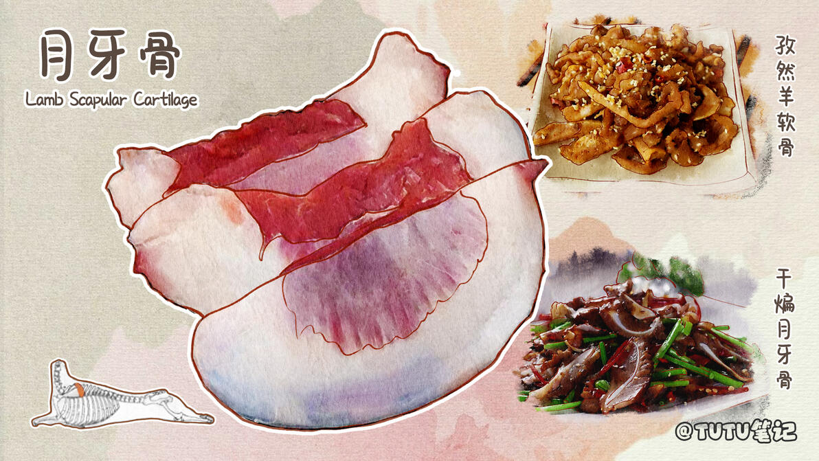 一篇文章让你成为懂羊人！带你认识不同部位的羊肉和吃法有哪些，最全的羊肉分类 - 哔哩哔哩