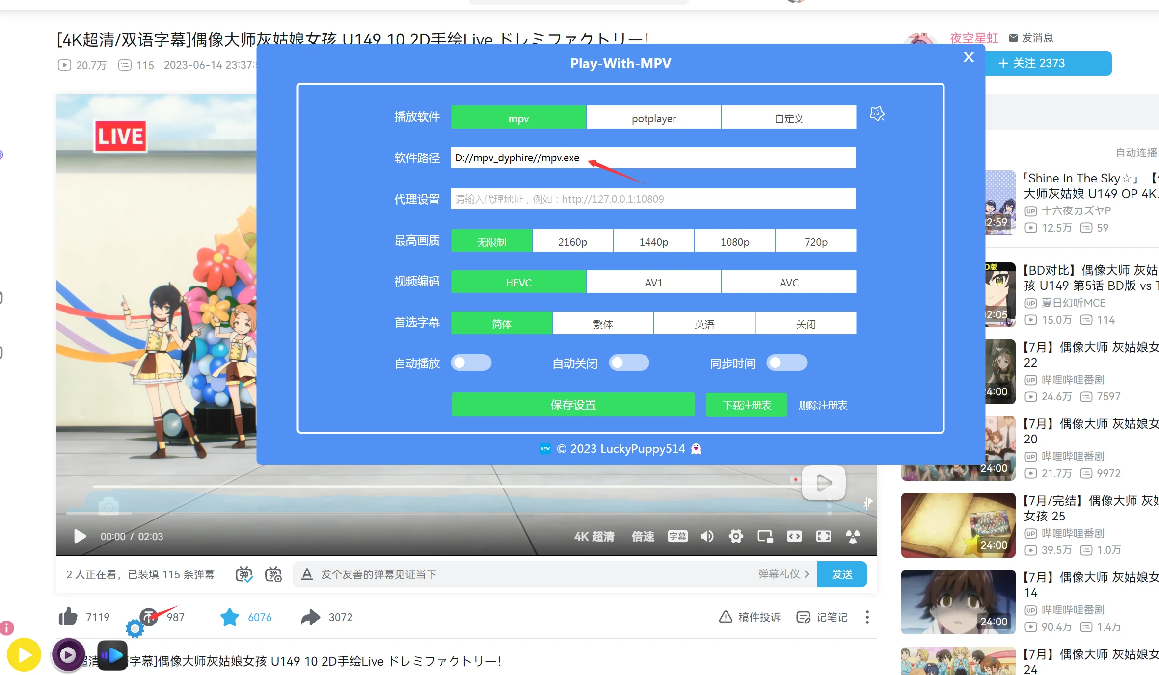 mpv播放器，纯小白入门 - 哔哩哔哩