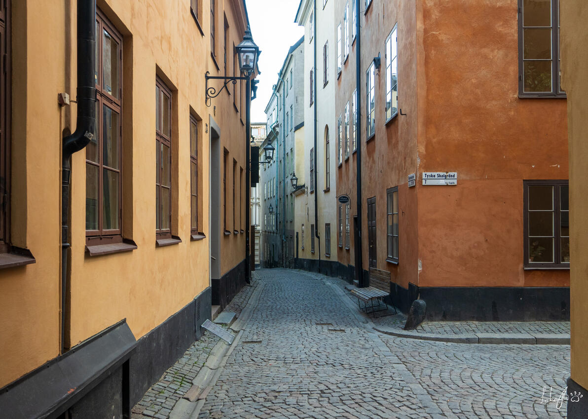 【圣地巡礼指南/Yorushika】跟随Eimy与Elma的脚步 - 哔哩哔哩