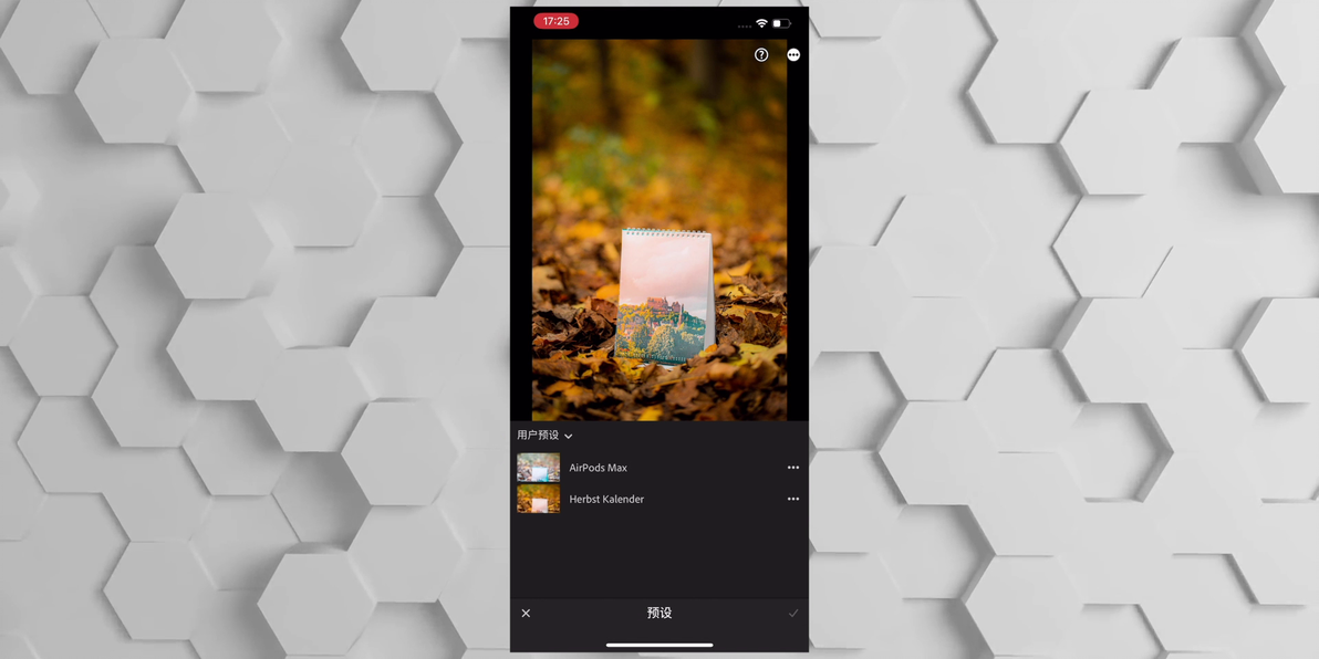 苹果ProRAW必备的5个调色APP - 哔哩哔哩