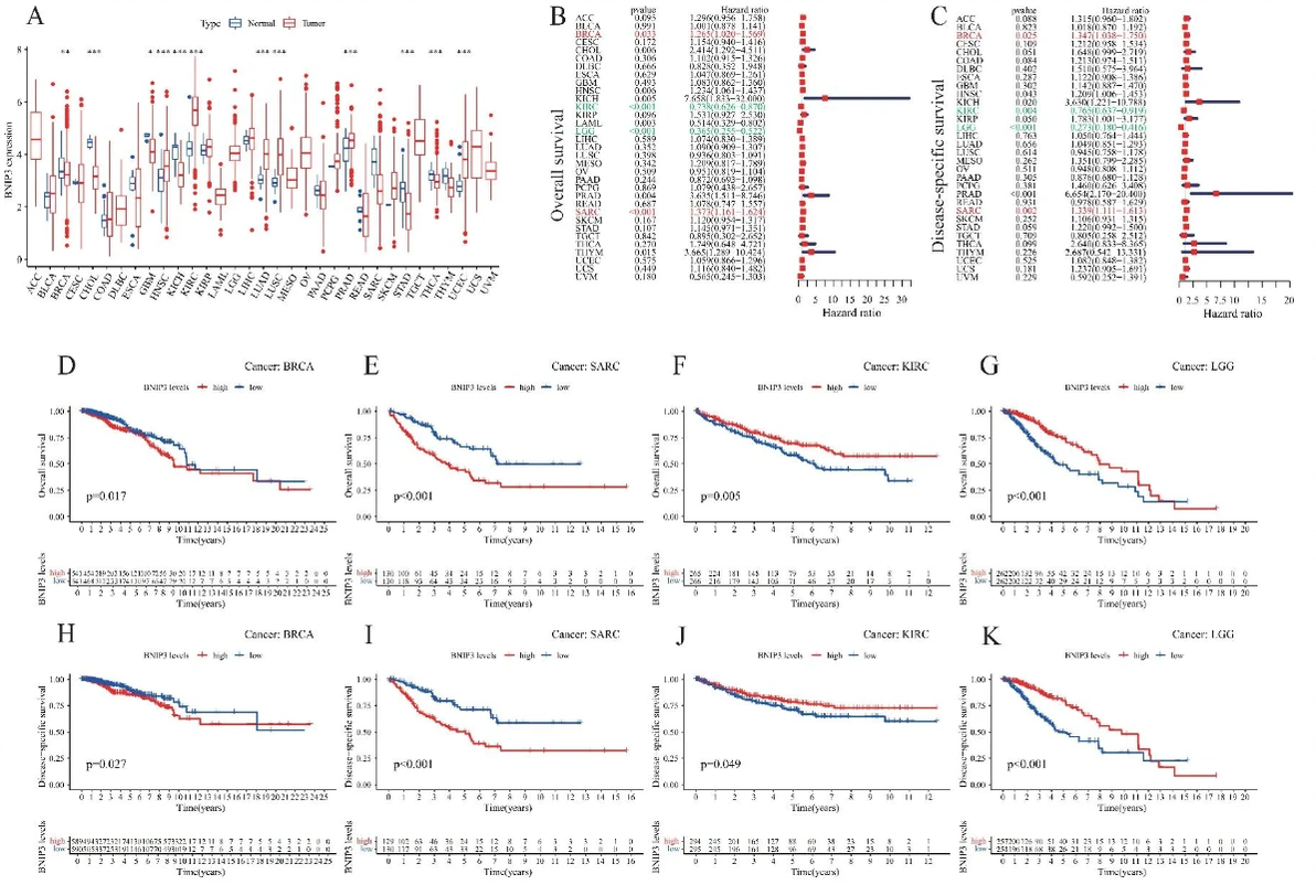 单个蛋白的纯生信如何上37+！！！ UCSC Xena数据库玩出了新高度！ - 哔哩哔哩