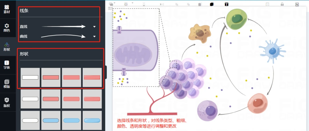 国内首个开放式在线科研绘图平台Figdraw上线，轻松复现CNS文章配图 - 哔哩哔哩
