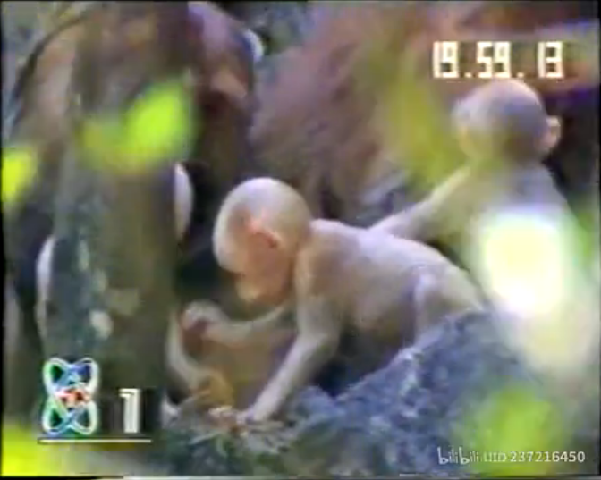 图片:CCTV 1标清台标进化史(1983-) - 哔哩哔哩