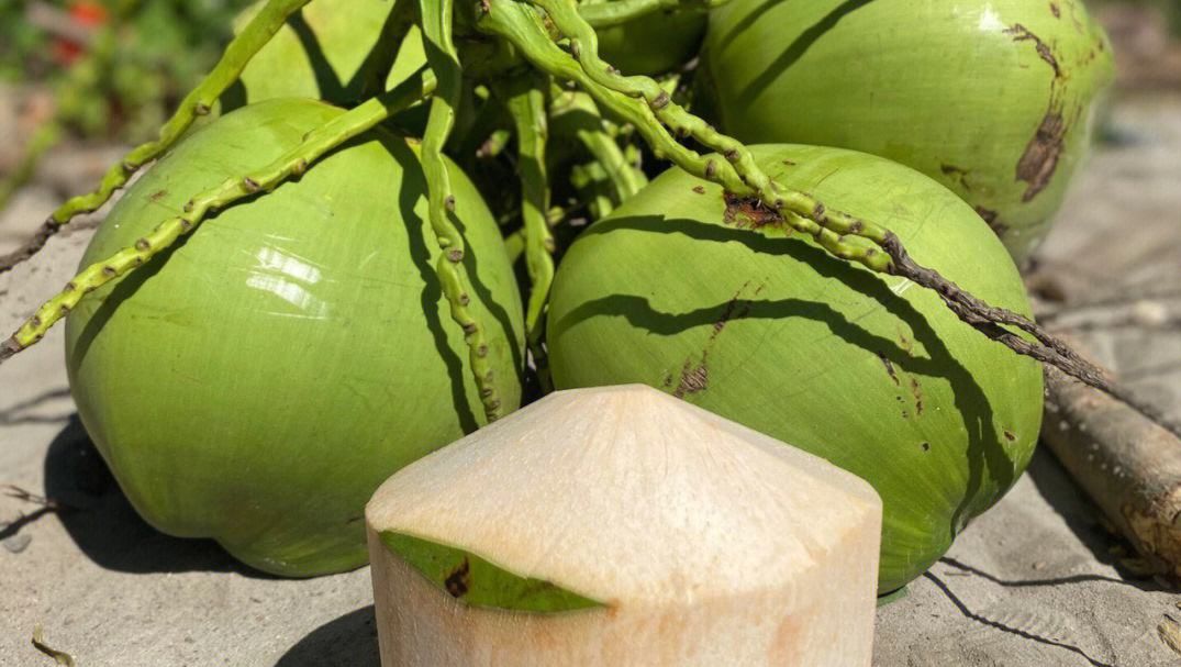 椰青季到了！快来看看椰青是怎么进口的！ - 哔哩哔哩