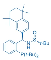 Sadphos：叔丁基亚磺酰胺（TBSA）的神奇之旅 - 哔哩哔哩