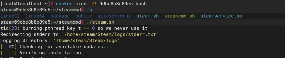 使用Docker运行steamcmd（附带使用docker运行泰拉瑞亚服务端） - 哔哩哔哩