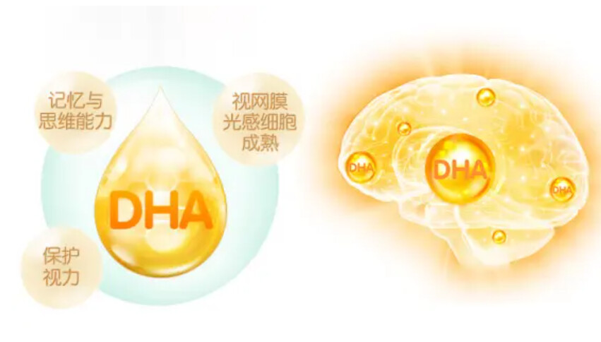 奶粉DHA添加的作用详解 DHA的益处 - 哔哩哔哩
