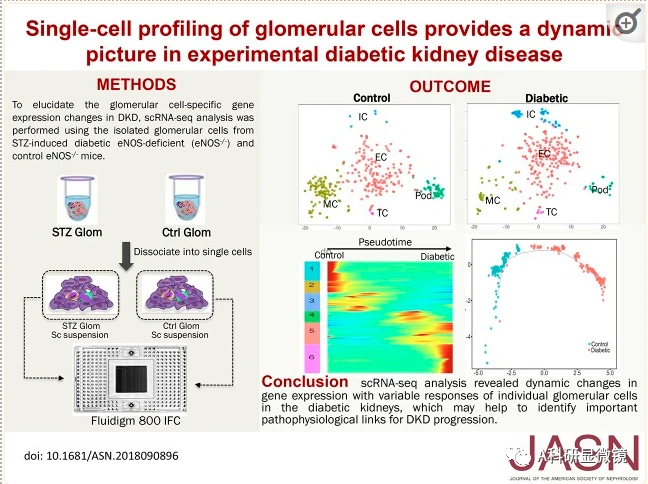 这样做出来的高质量图文摘要（Graphic abstract），才能成为SCI论文的加分项！ - 哔哩哔哩