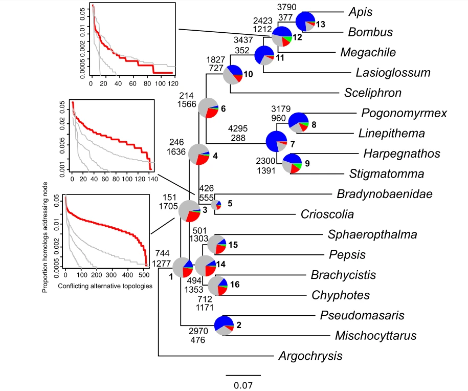 phyparts可视化基因树冲突 - 哔哩哔哩