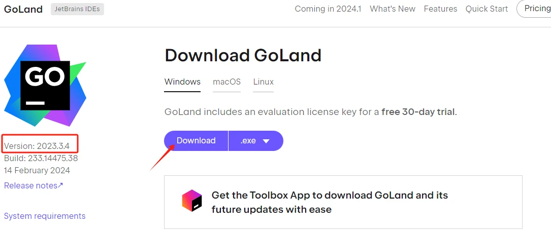 GoLand2024最新版激活破解教程，亲测有效（附激活工具+激活码) - 哔哩哔哩