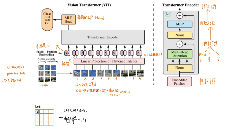ViT(Vision Transformer)论文速读 - 哔哩哔哩