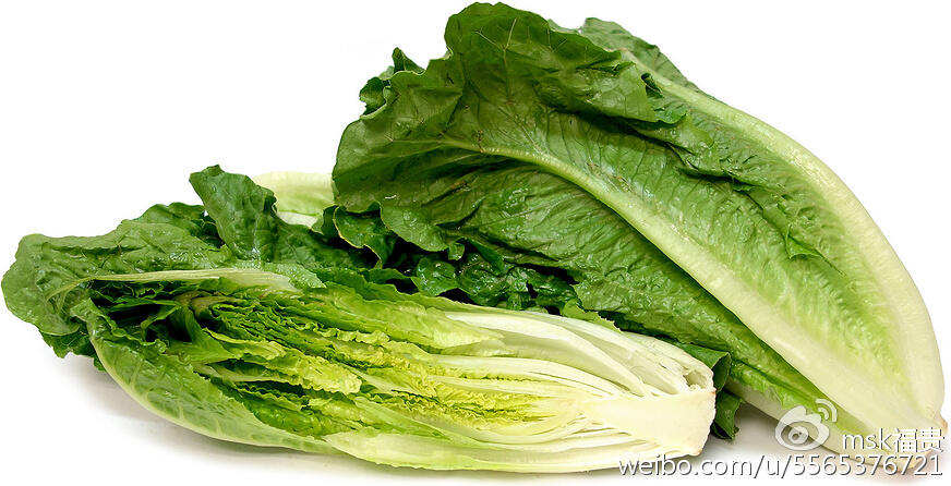 美版《逆转4》的人名梗剖析（下） - 哔哩哔哩